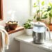 10 Natural Remedies for Sinus Infection: Quick Relief at Home